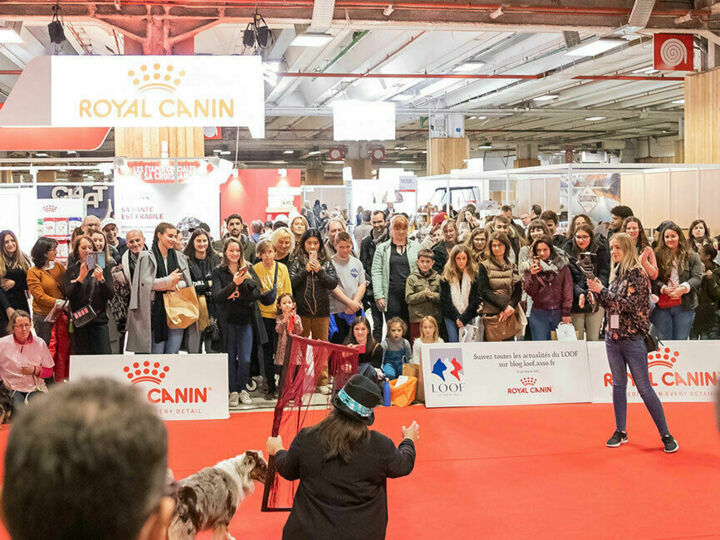 Paris Animal Show 2024 - ABC Salles