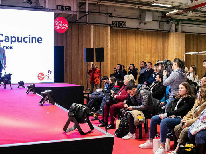 Expozoo Paris Animal Show 2026 - ABC Salles