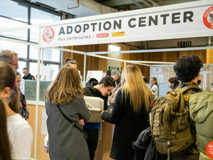 Paris Animal Show 2025 - ABC Salles