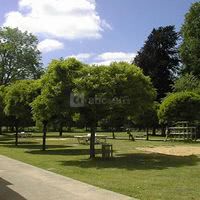 Château de Vaulfin - ABC Salles