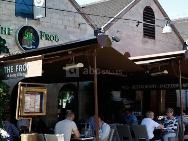 Frog XVI - ABC Salles