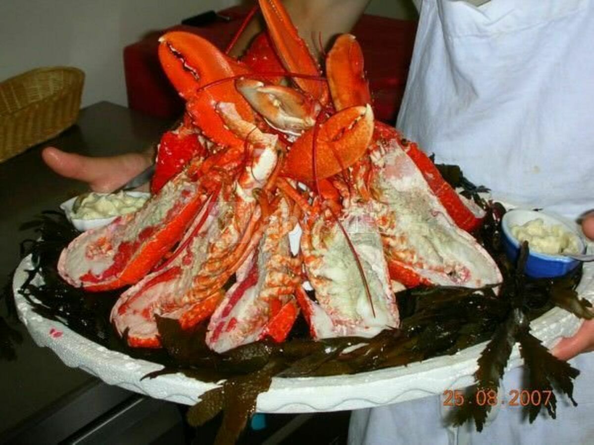 Les Filets Bleus - ABC Salles