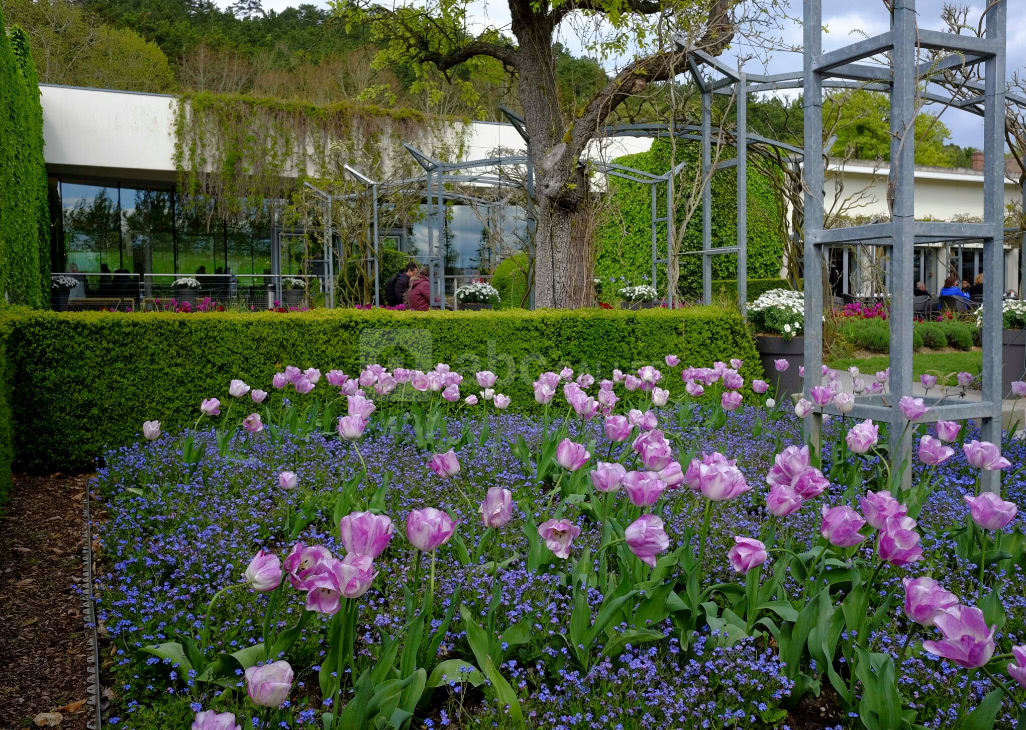 Musée des Impressionnismes Giverny - ABC Salles