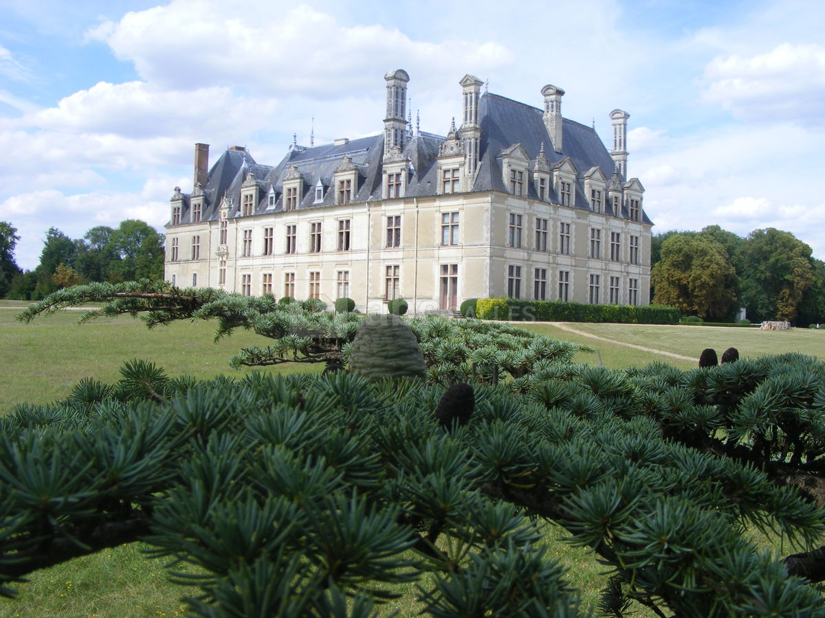 Parc & Château de Beauregard - ABC Salles