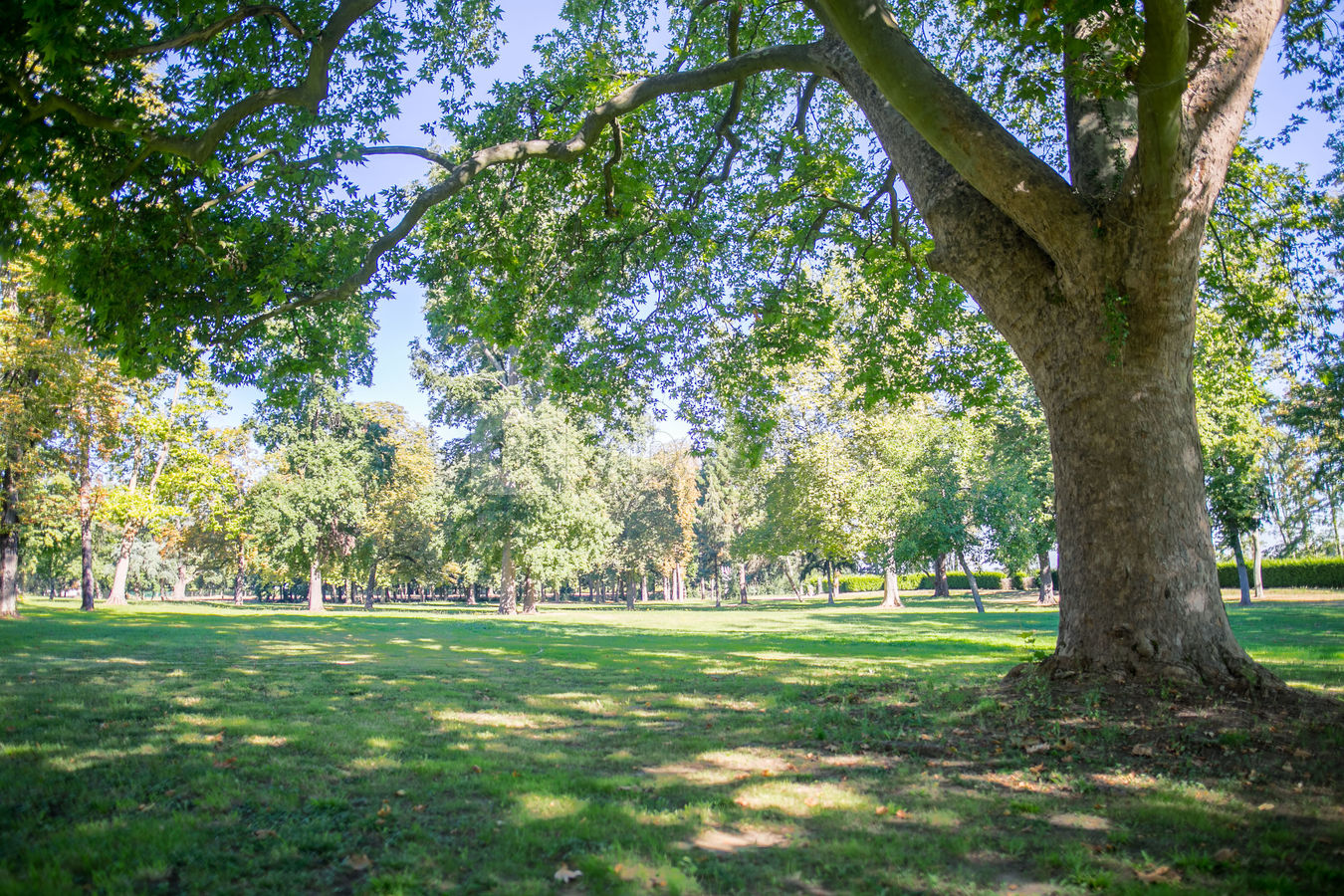 Château de Nolet - ABC Salles