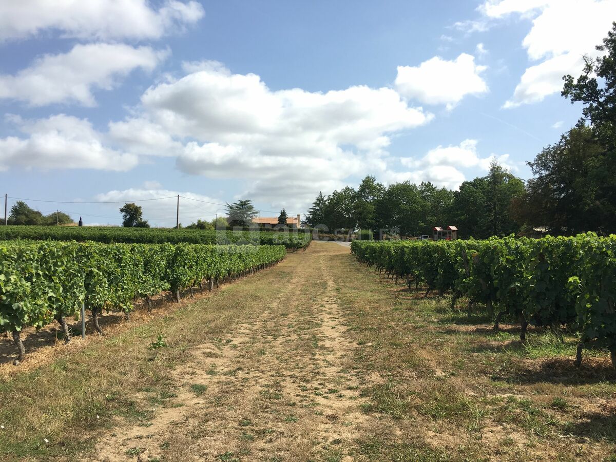 Domaine de la Grave - ABC Salles