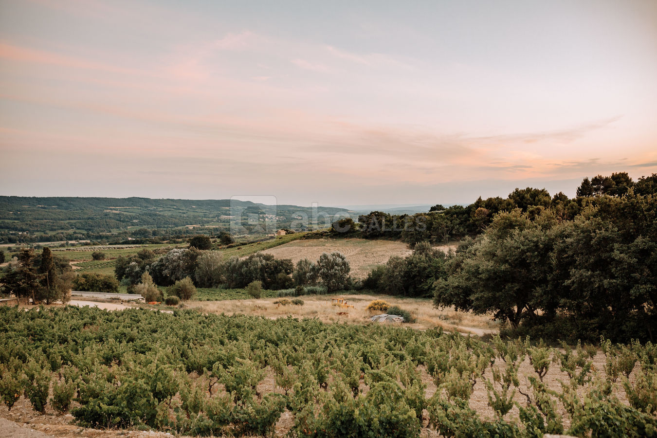 Domaine Viret - ABC Salles
