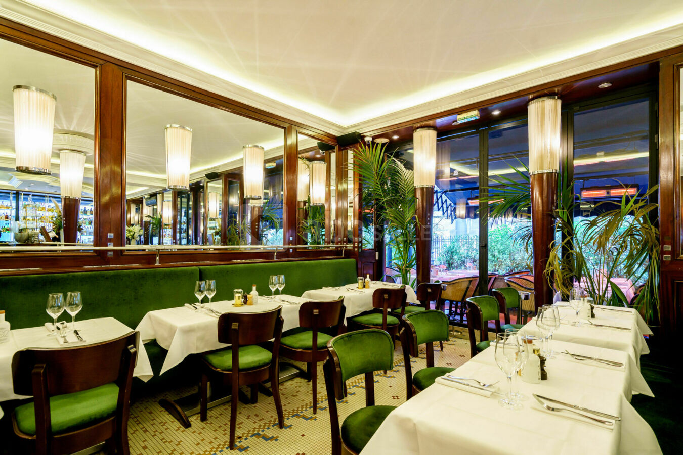 Le Basilic - ABC Salles