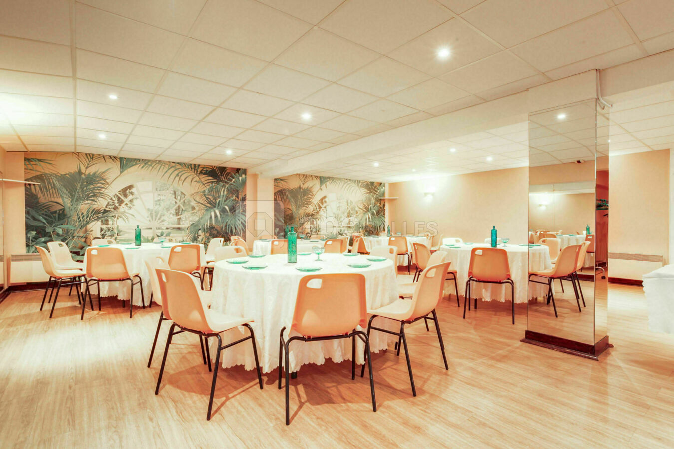 FLM Arena - ABC Salles