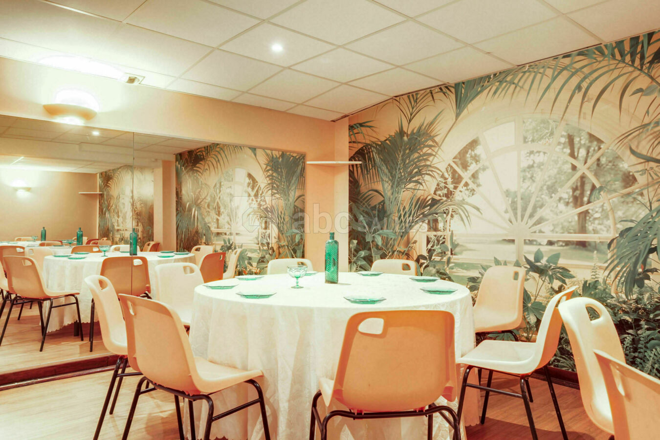 FLM Arena - ABC Salles