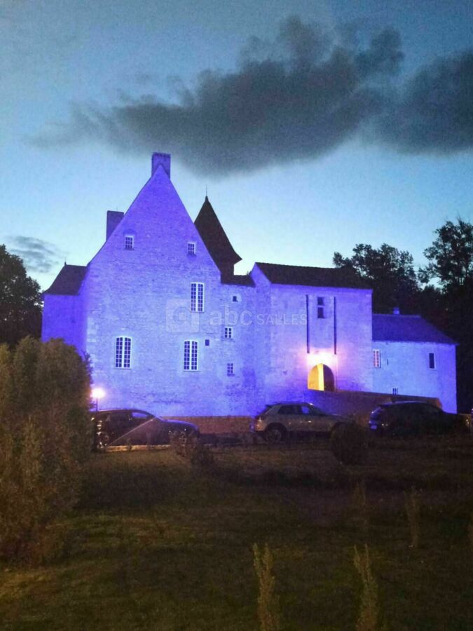Château de la Mothe de Vicq - ABC Salles