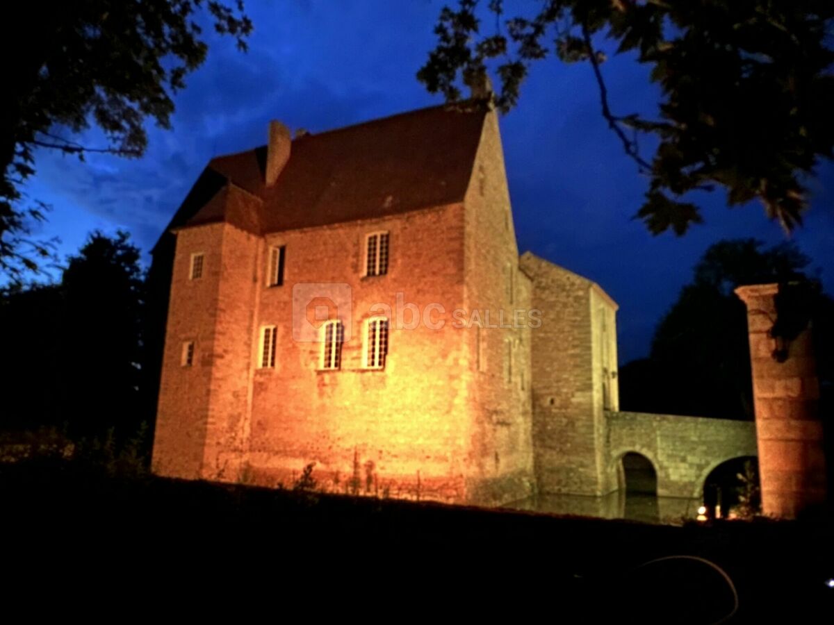 Château de la Mothe de Vicq - ABC Salles
