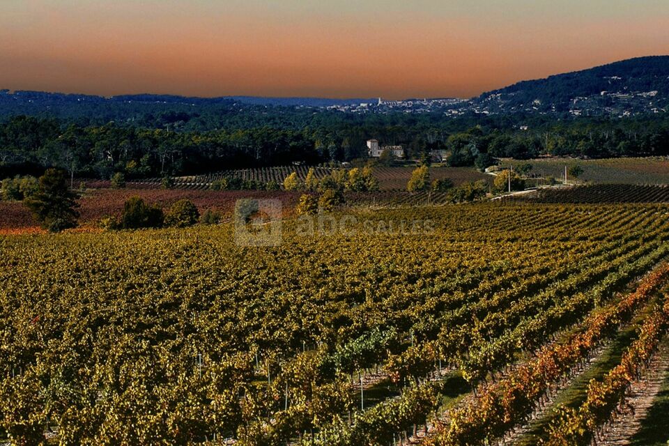 Château Roubine - Le Mas des Candeliers - ABC Salles