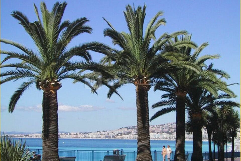 Hôtel Massena - ABC Salles