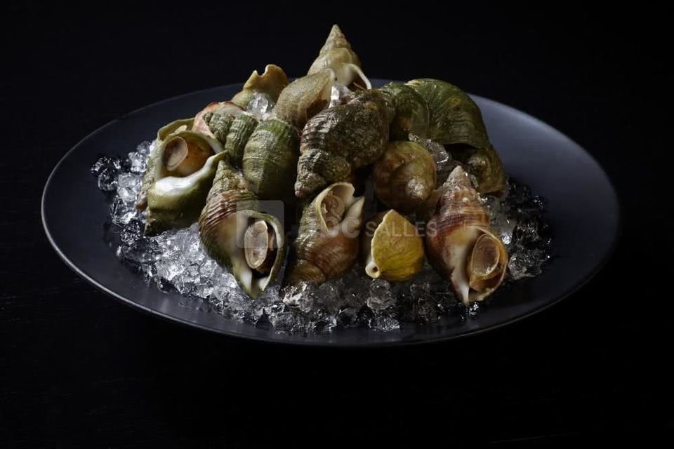 L'Escargot Montorgueil - ABC Salles