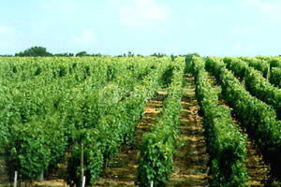 Pavillon du Château Le Thil - ABC Salles