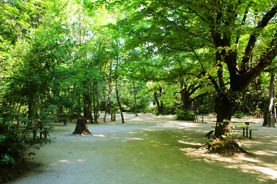 Parc Alexis Gruss - ABC Salles