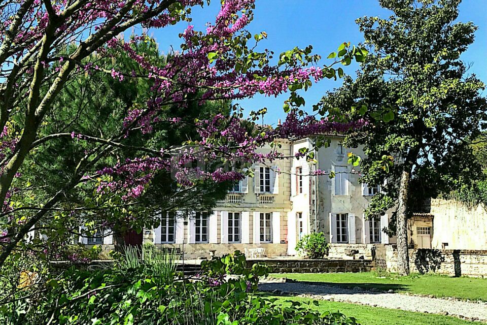 Château Bel'Ange - ABC Salles